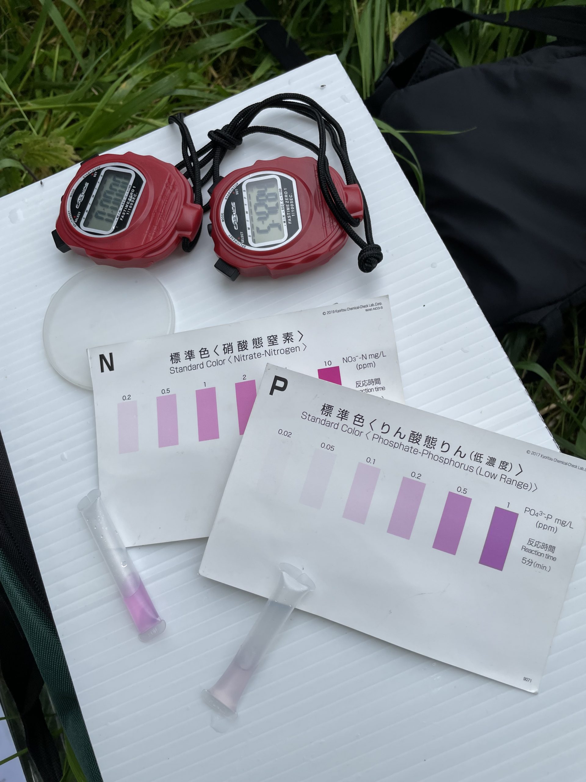 News – Friends of Cecilly Brook and Hales Hall Pool